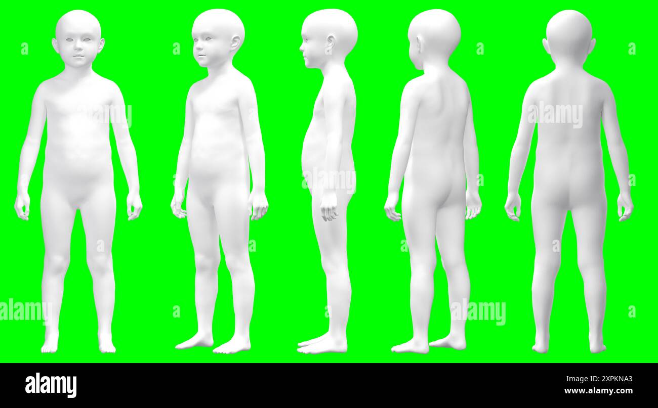 Child 3D Model in Various Poses, Child Body Mannequin Stock Photo - Alamy