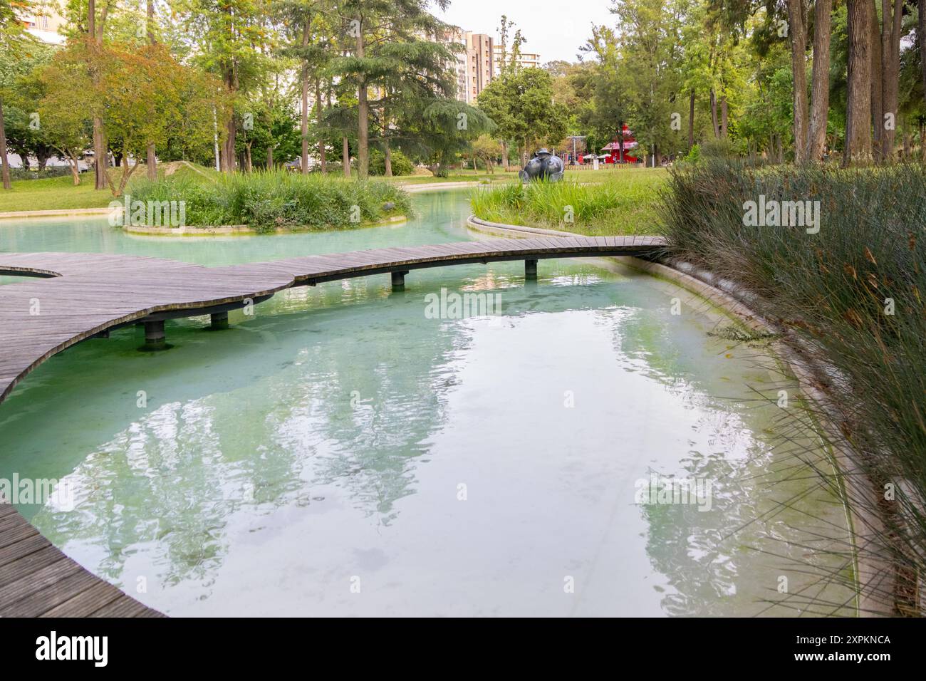 Curved trees path walkway in hi-res stock photography and images - Alamy