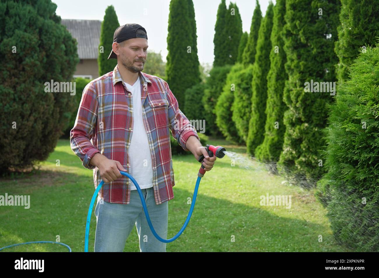 Man watering lawn with hose in backyard Stock Photo - Alamy