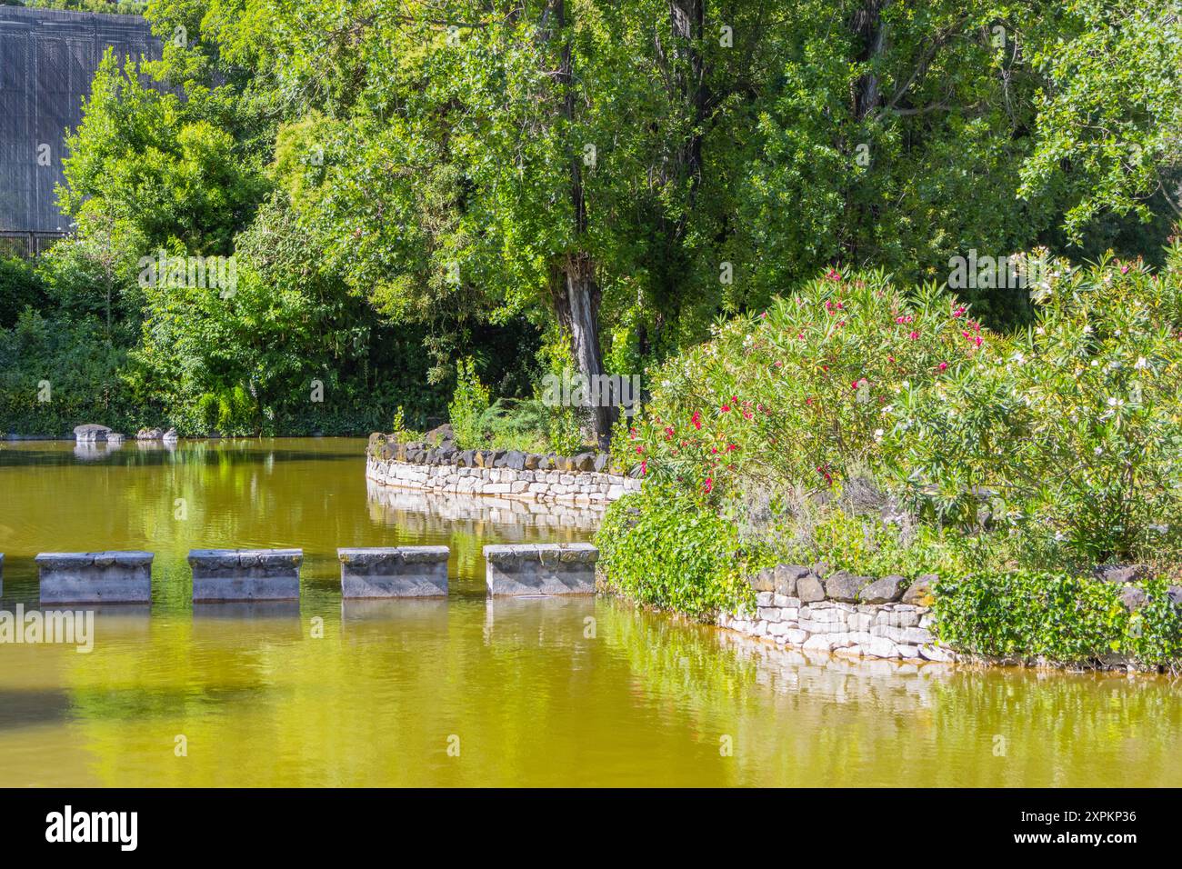 Stone path crossing a pond in the estufa fria, a greenhouse located in ...