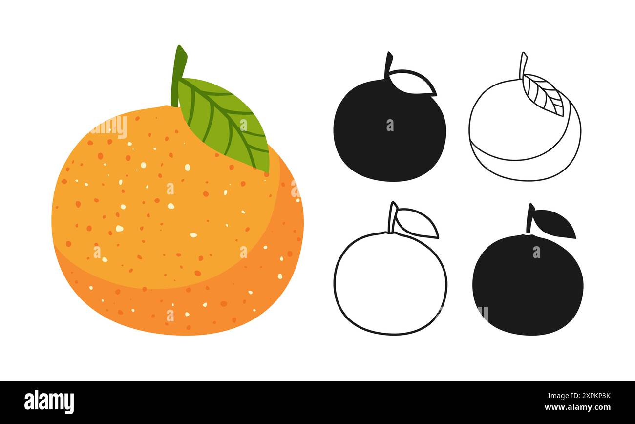 Line fresh juicy tangerine Stock Vector Images - Alamy