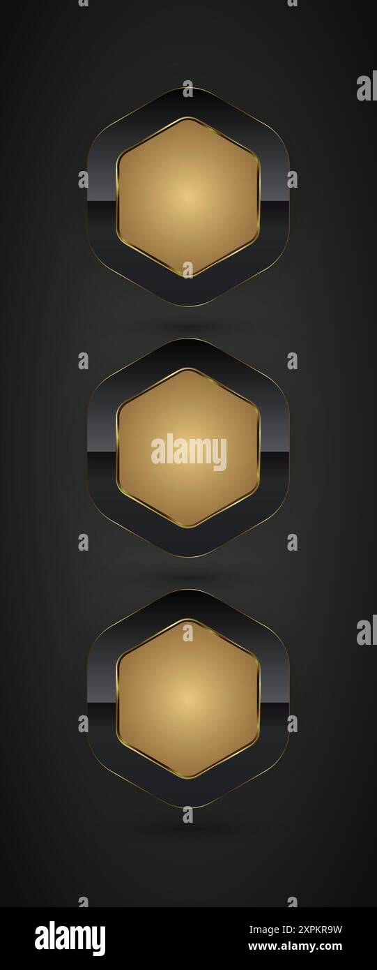 Three Luxury buttons of hexagon shapes with golden frame vector ...