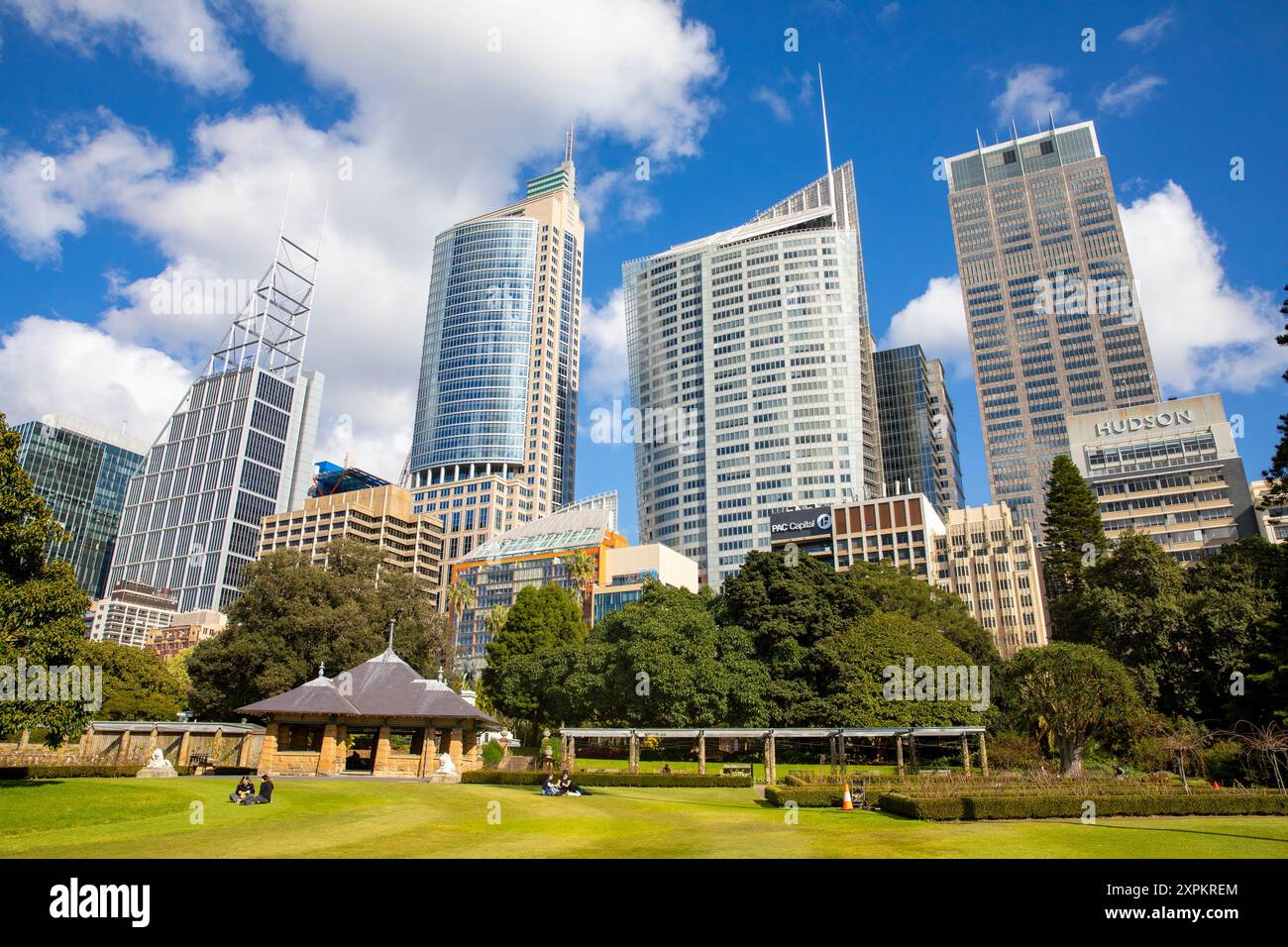 Royal botanic Gardens in Sydney with high rise skyscraper towers along ...