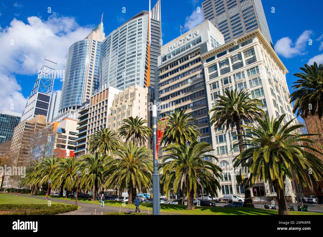 Sydney city centre, palm trees and office skyscrapers along Macquarie ...