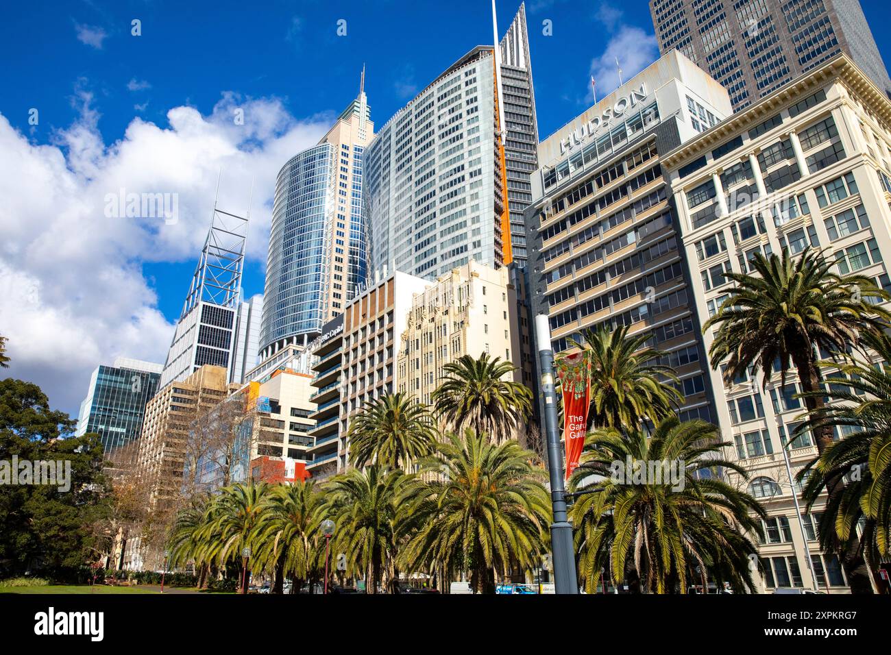 Sydney city centre, palm trees and office skyscrapers along Macquarie ...