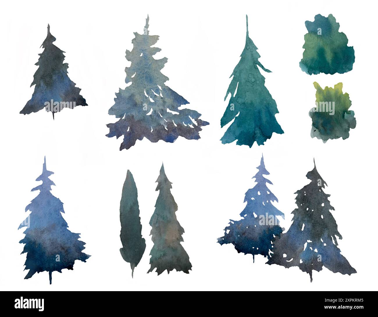 Illustration fir tree watercolor collection isolated on white ...