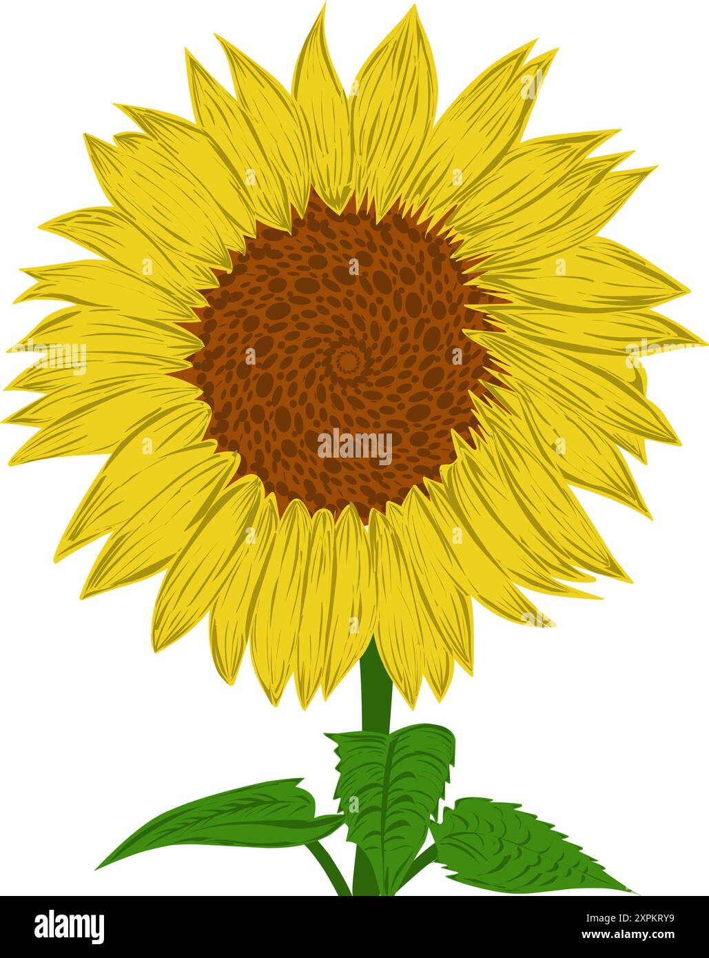 Illustration of a sunflower design. Perfect for poster, website, banner ...