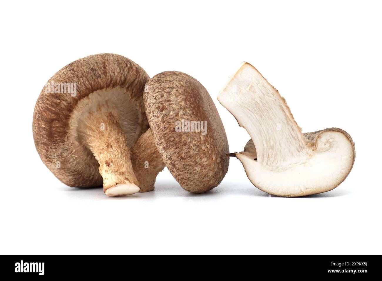 Raw shiitake mushrooms isolated on white background, nutritional and ...