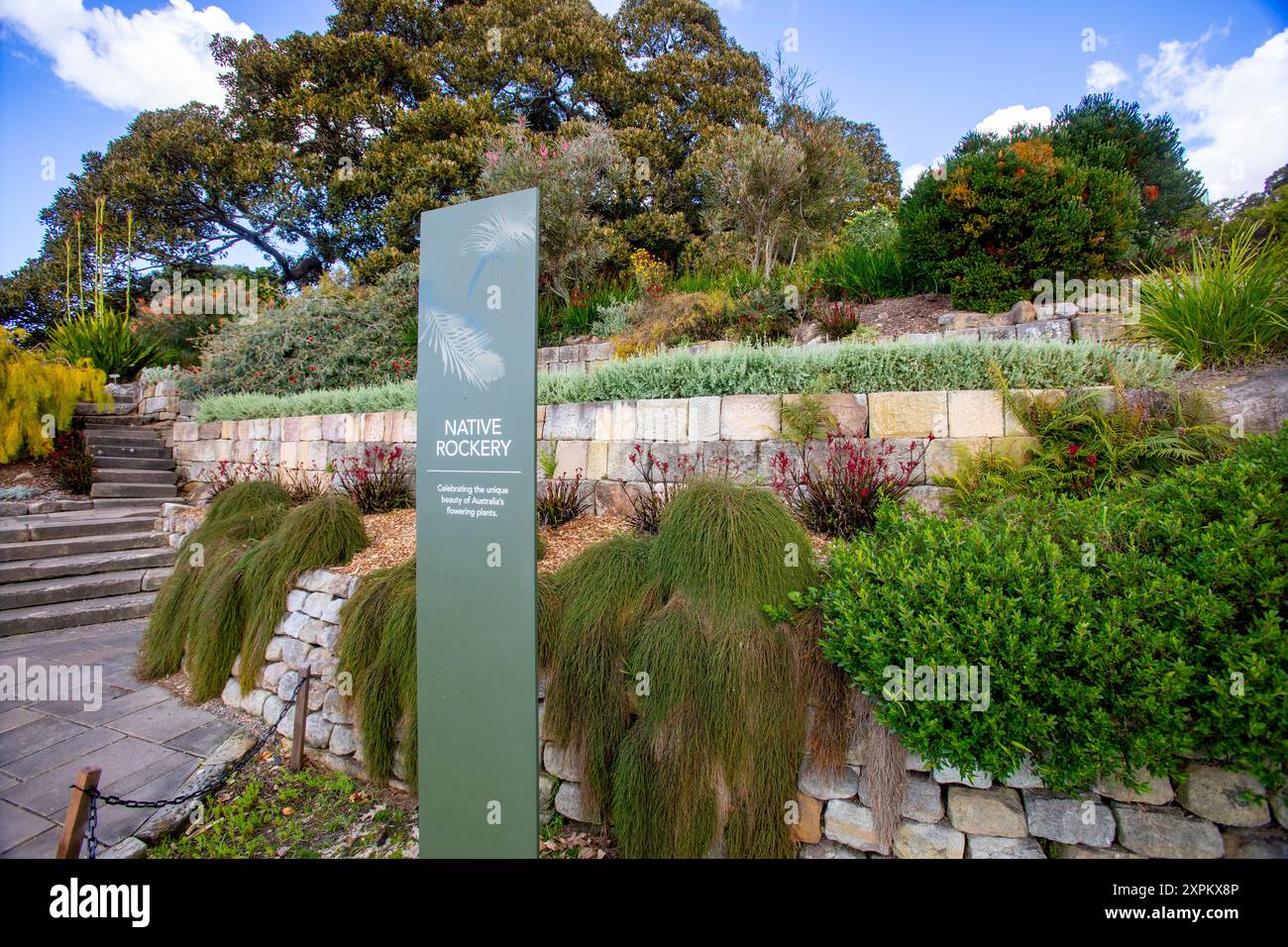 Australian native rockery hi-res stock photography and images - Alamy