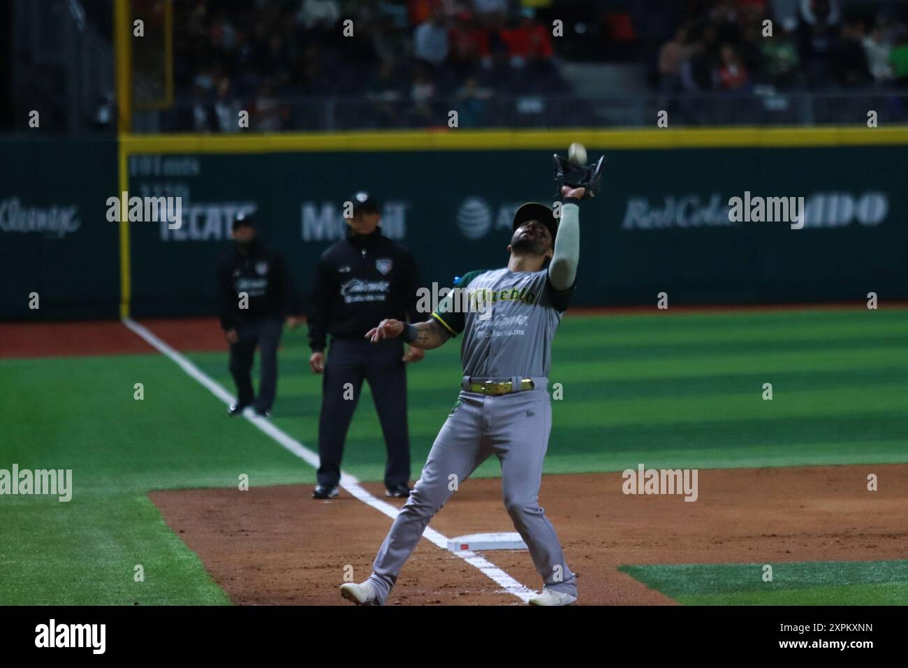 Mexico City, Mexico. 05th Aug, 2024. Drew Stankiewicz #17 of Pericos de ...