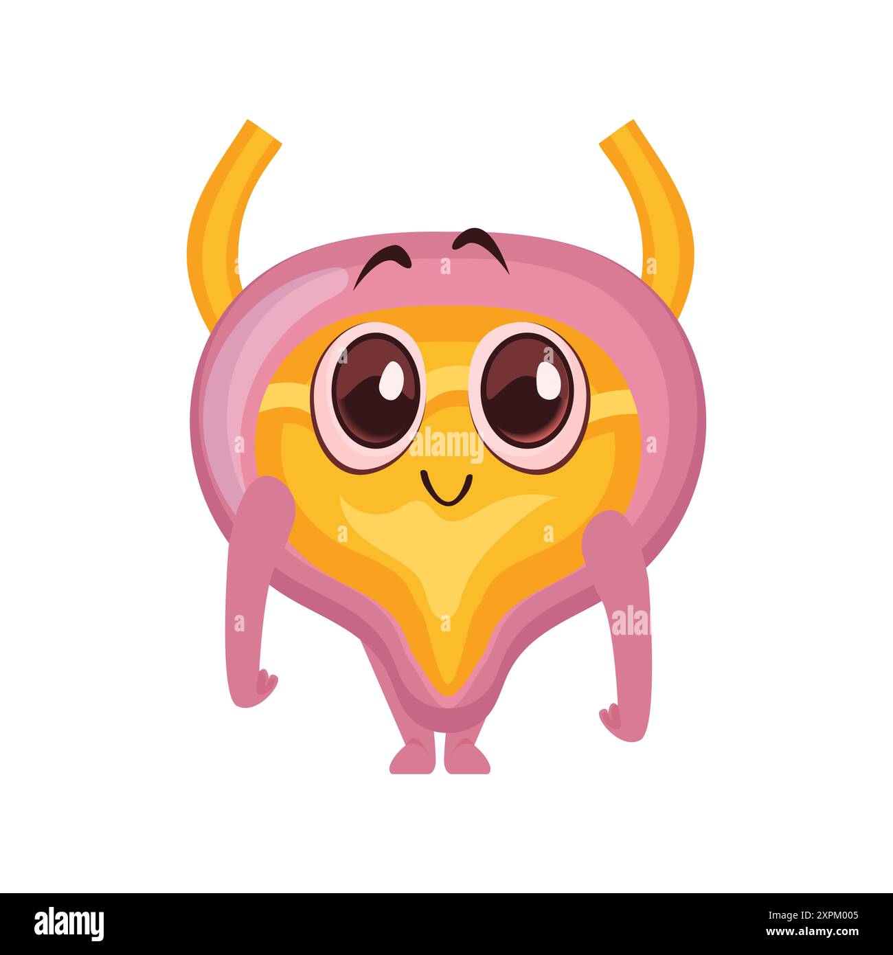 Female reproductive system cartoon hi-res stock photography and images ...