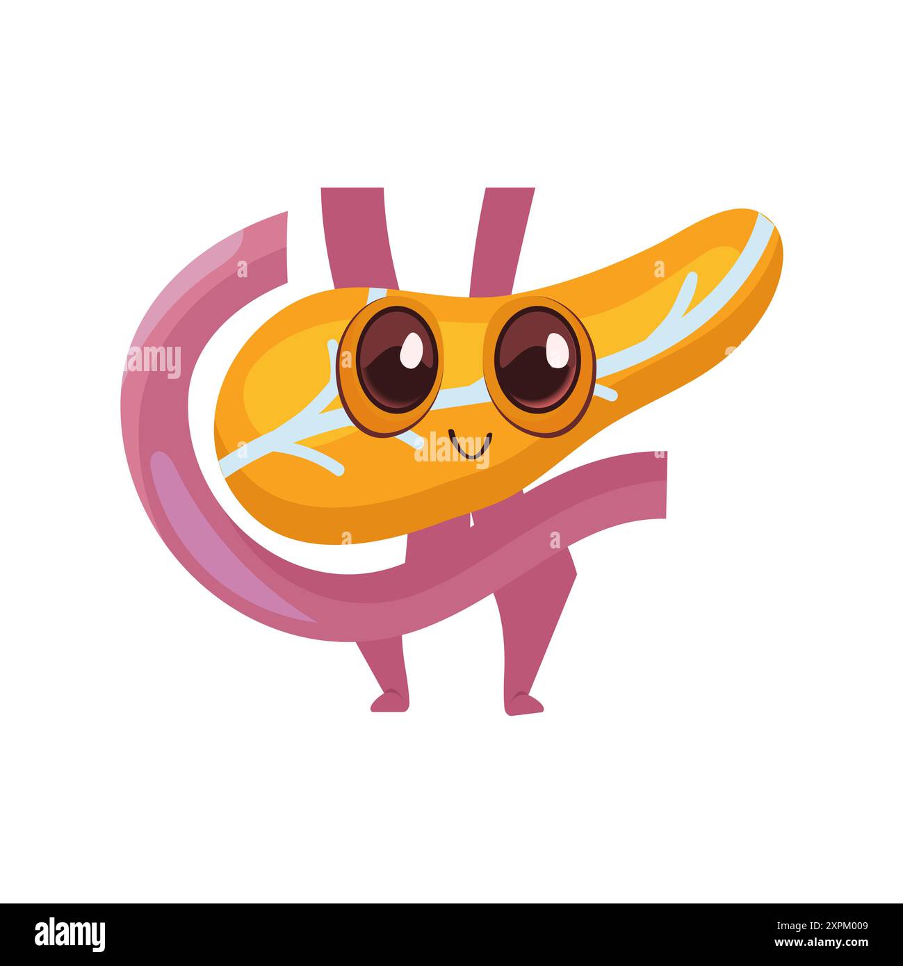 Pancreas cartoon hi-res stock photography and images - Alamy