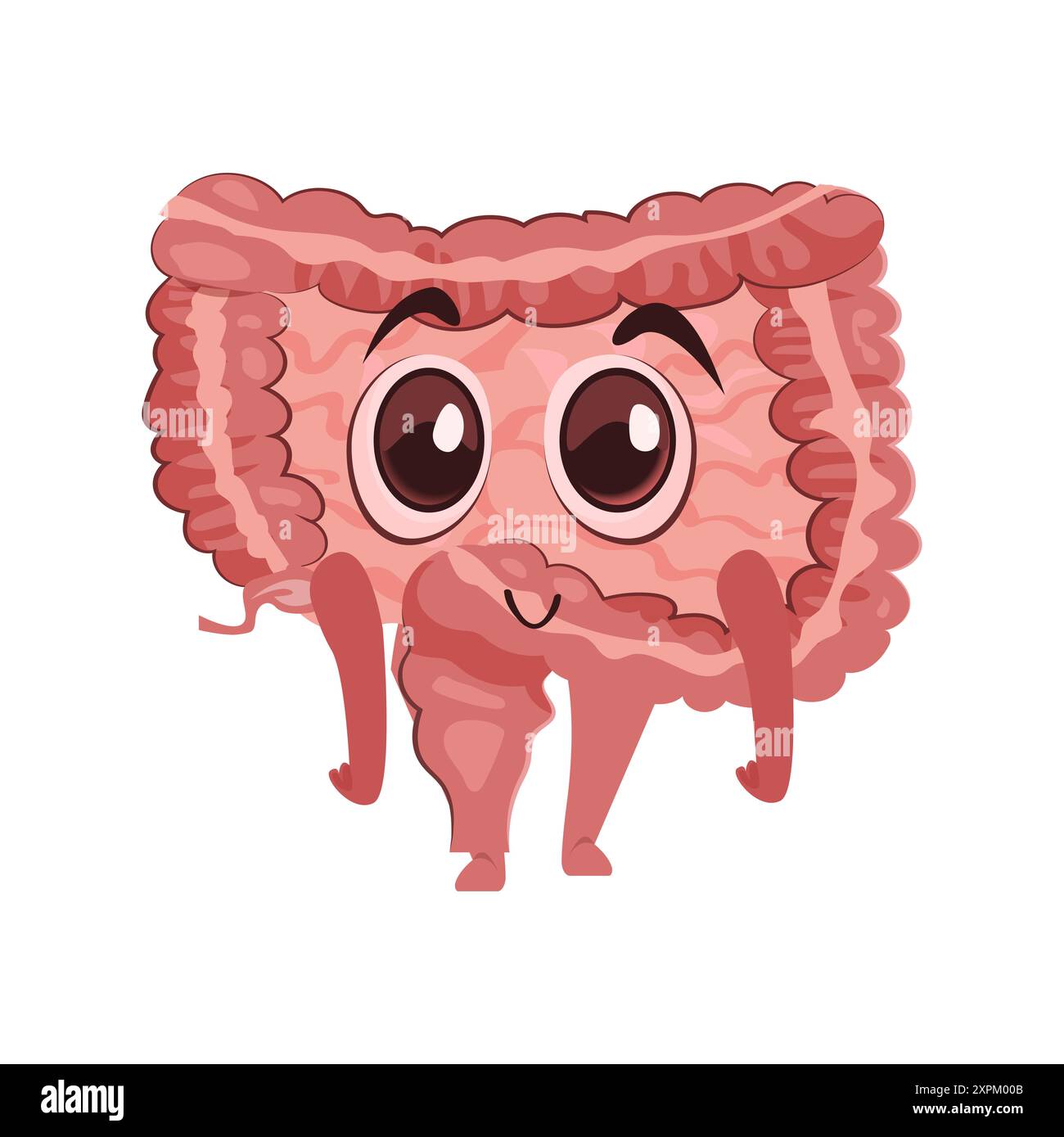 Intestine vector Cut Out Stock Images & Pictures - Alamy