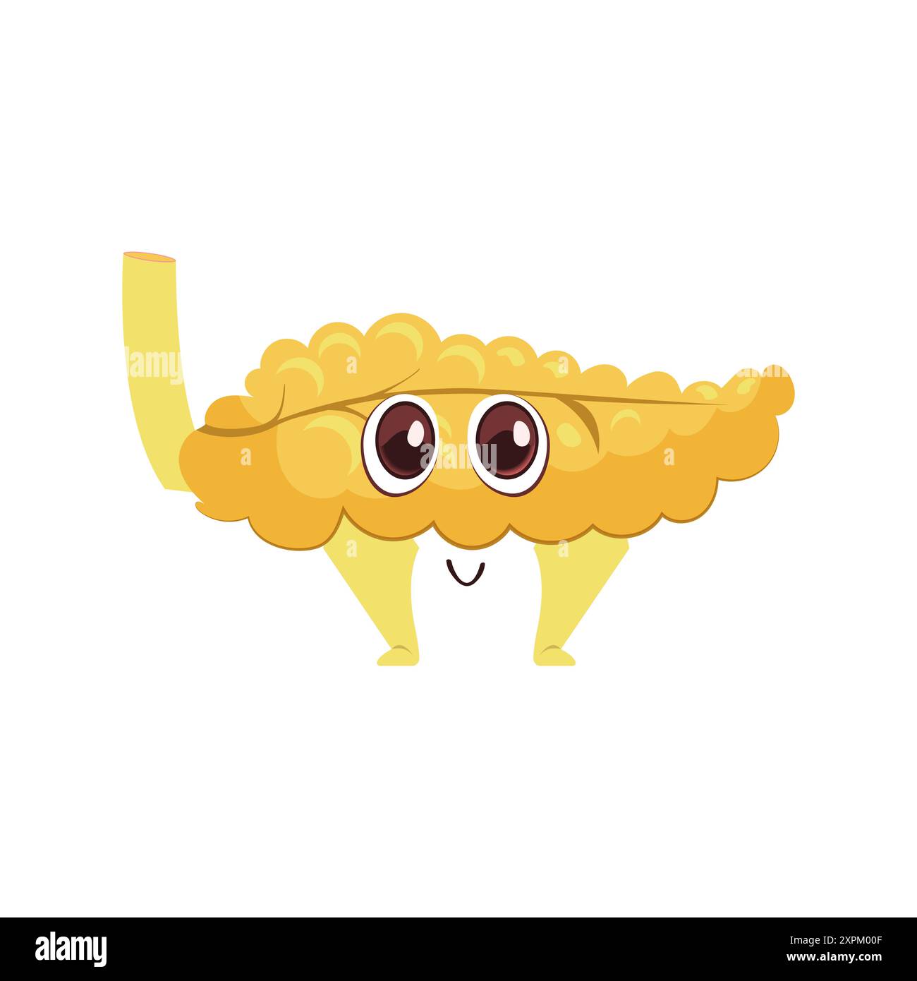 This is the pancreas Stock Photo - Alamy