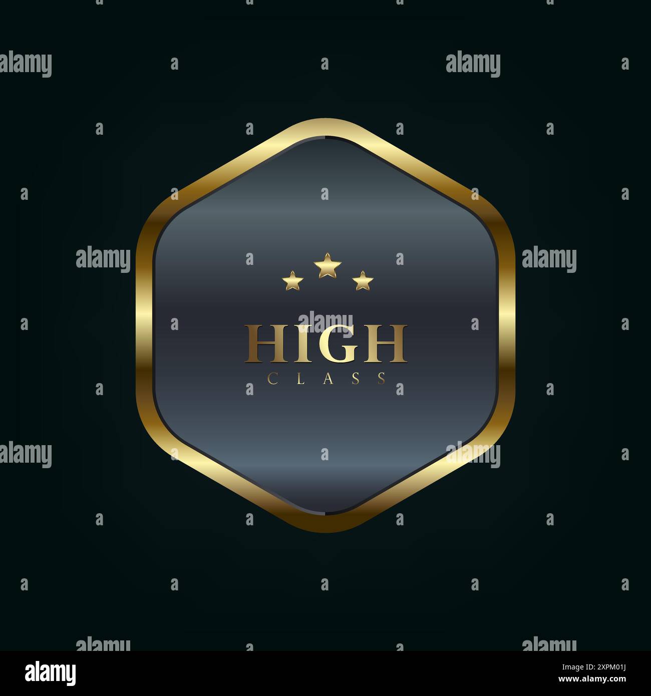 A premium polygon button used in UI, UX vector illustration with frame ...