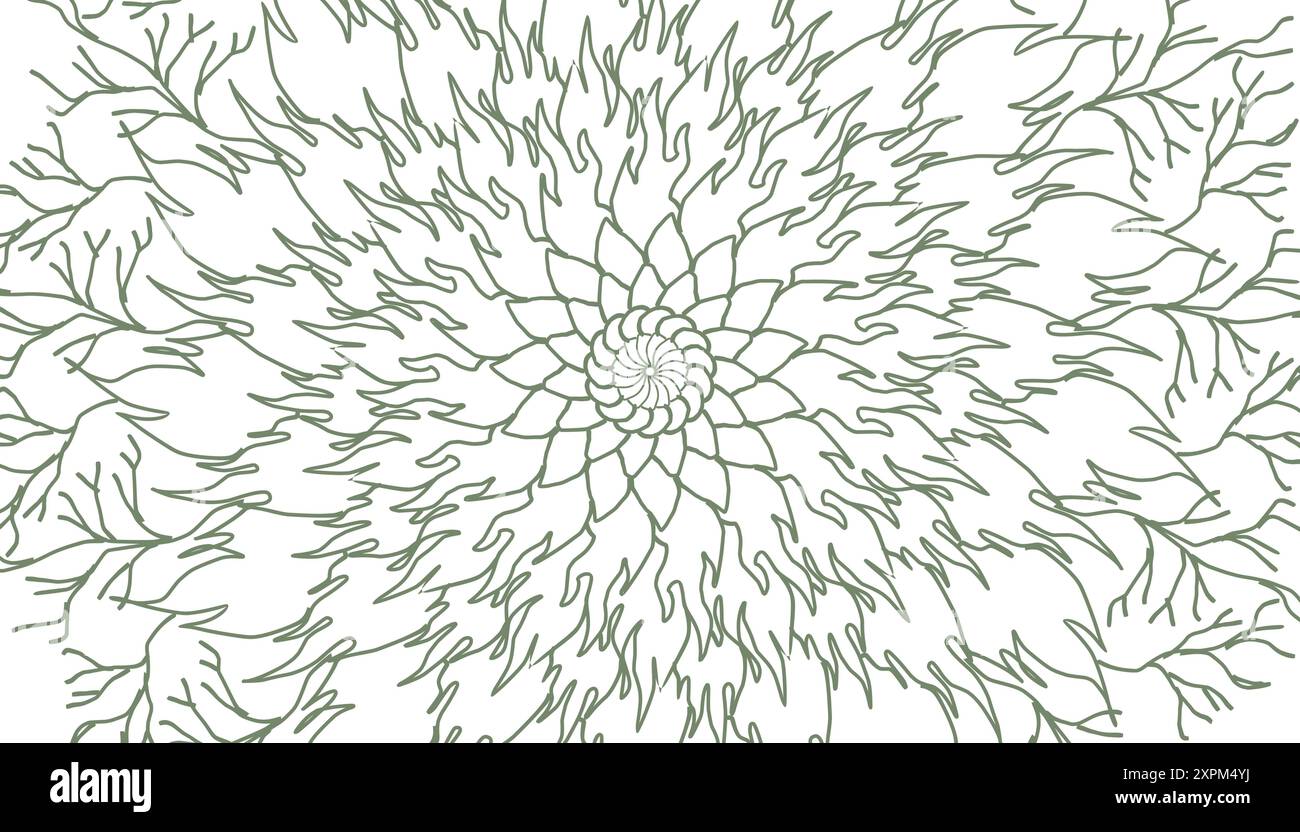 Watercress stem Stock Vector Images - Alamy