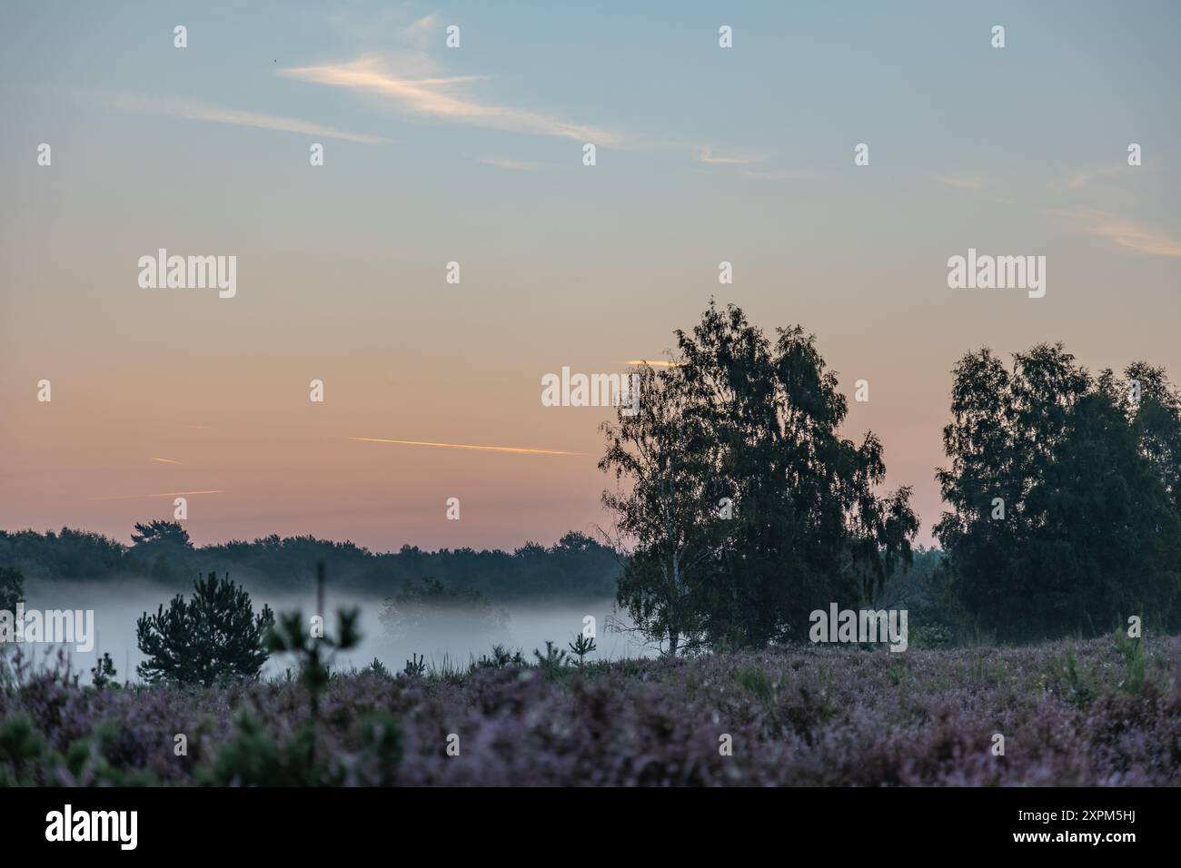 Ground fog sunrise hi-res stock photography and images - Alamy