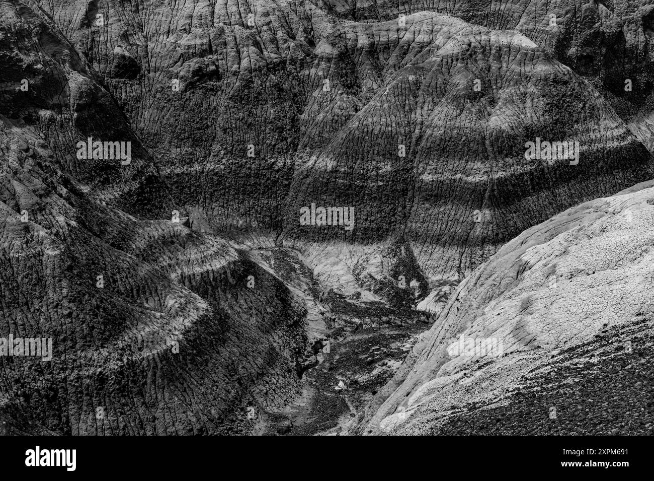 Erosion patterns create bands of texture and color, Paited Desert ...