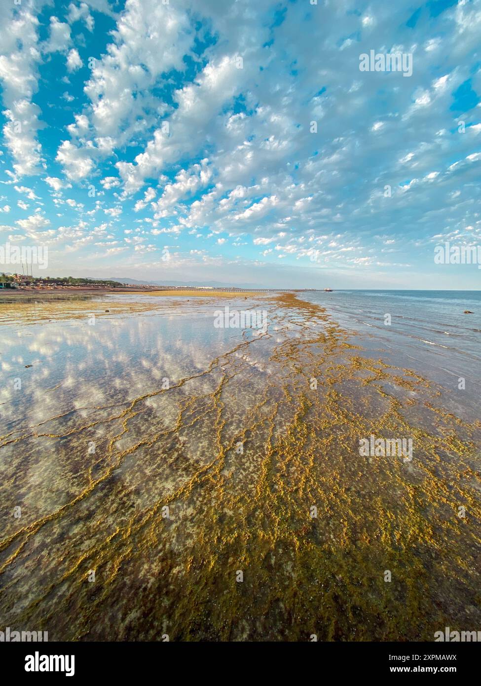 Aerial view on seacost and visible coral reefs during shallow water ...