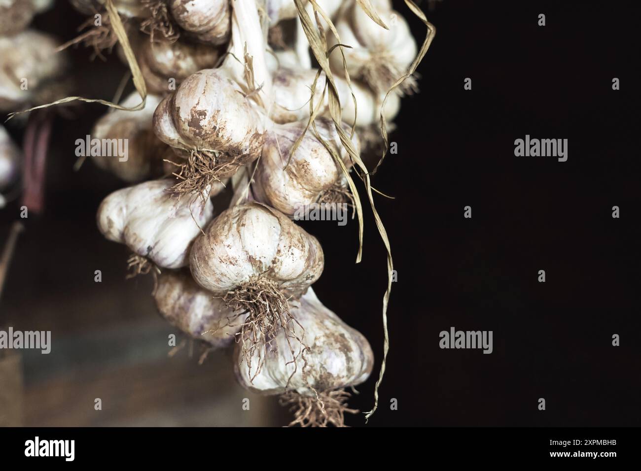 a strand of garlic hangs in a shed to cure Stock Photo - Alamy