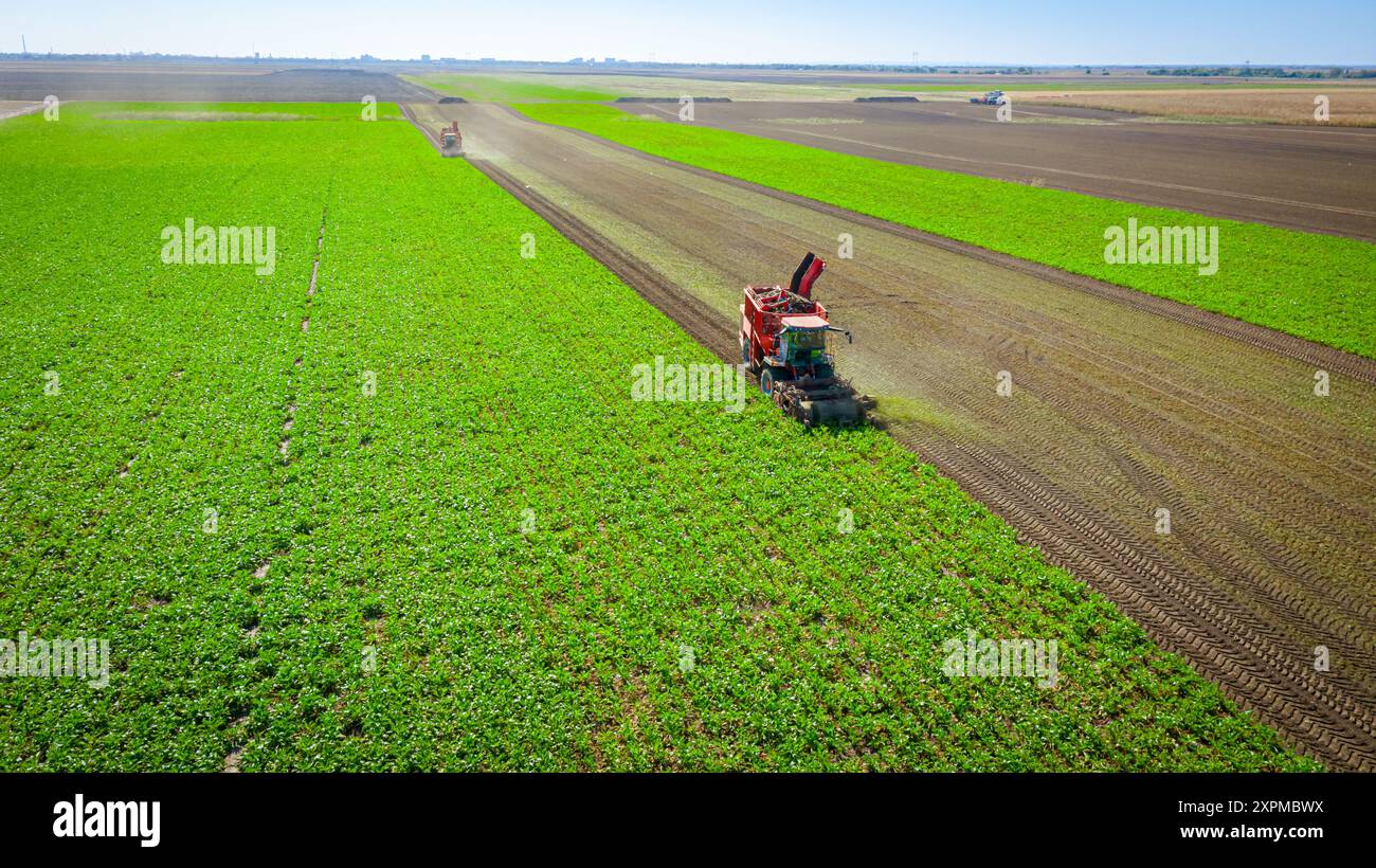 Above view on two agricultural machines, harvesters as cutting and ...