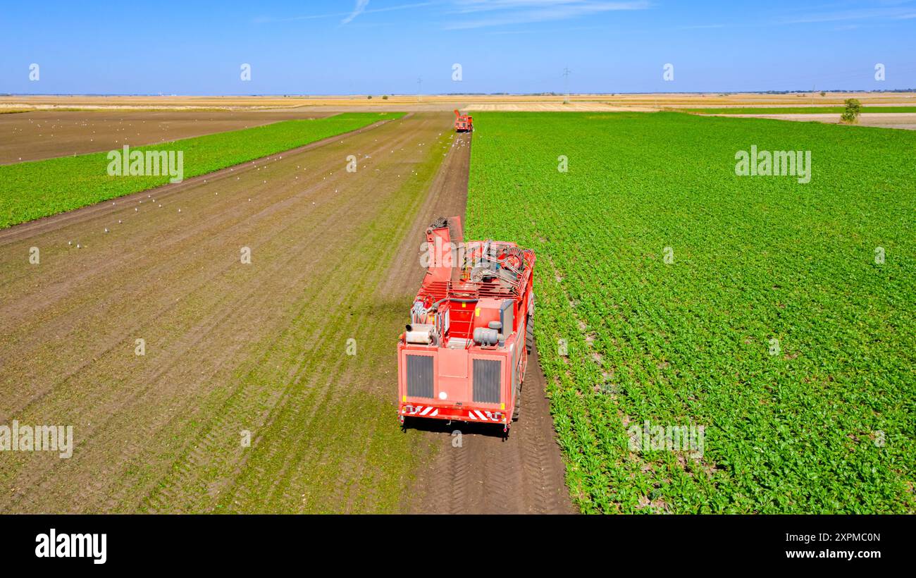 Above view on two agricultural machines, harvesters as cutting and ...