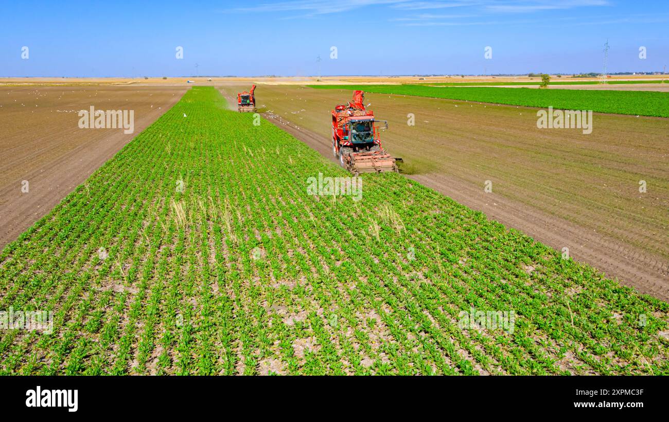 Above view on two agricultural machines, harvesters as cutting and ...
