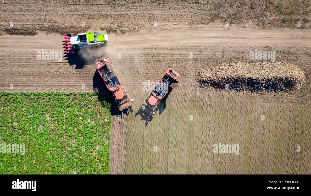 Above top view over two agricultural machines, harvesters as they ...