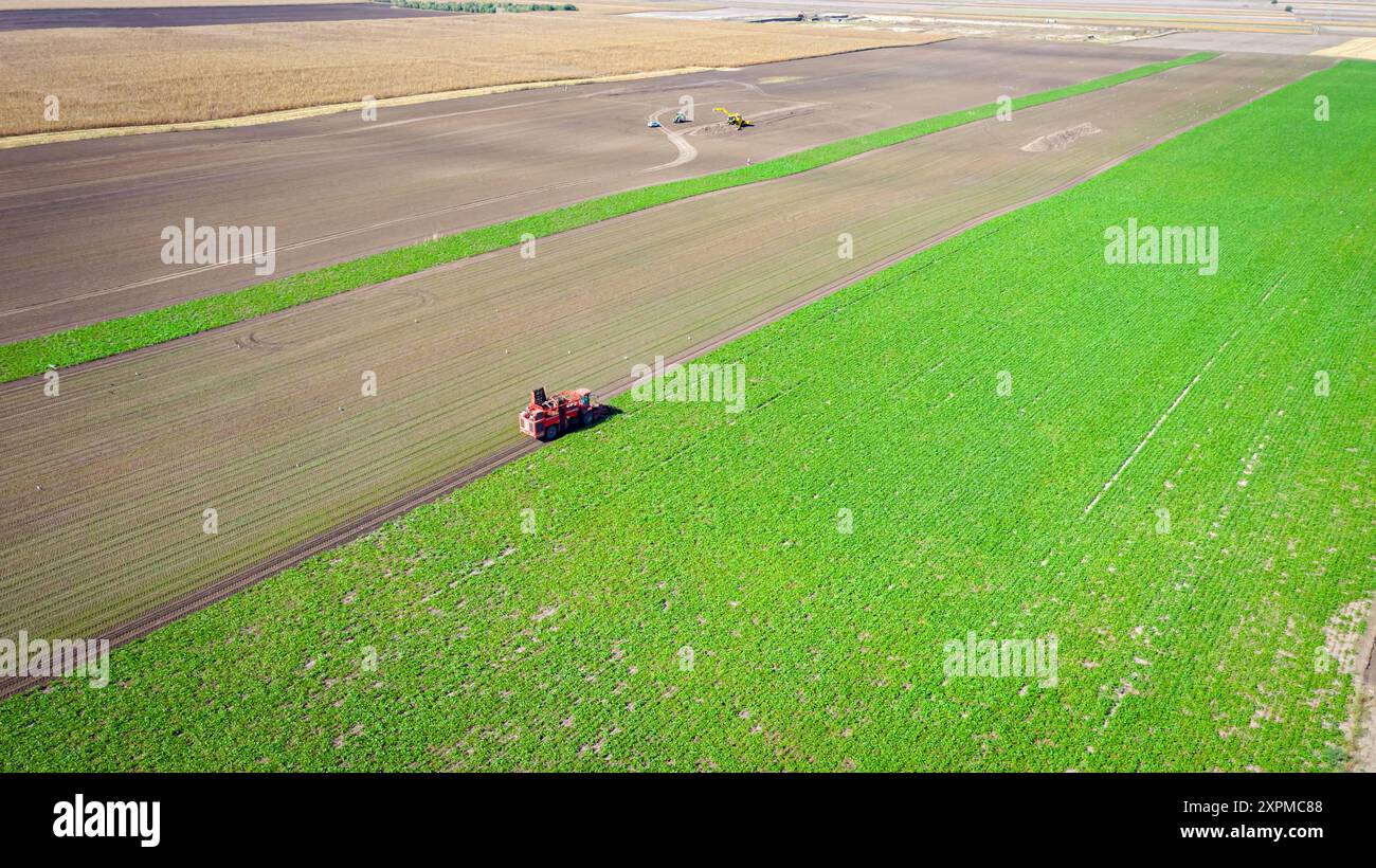 Above view on agricultural machine, harvester as cutting and harvesting ...