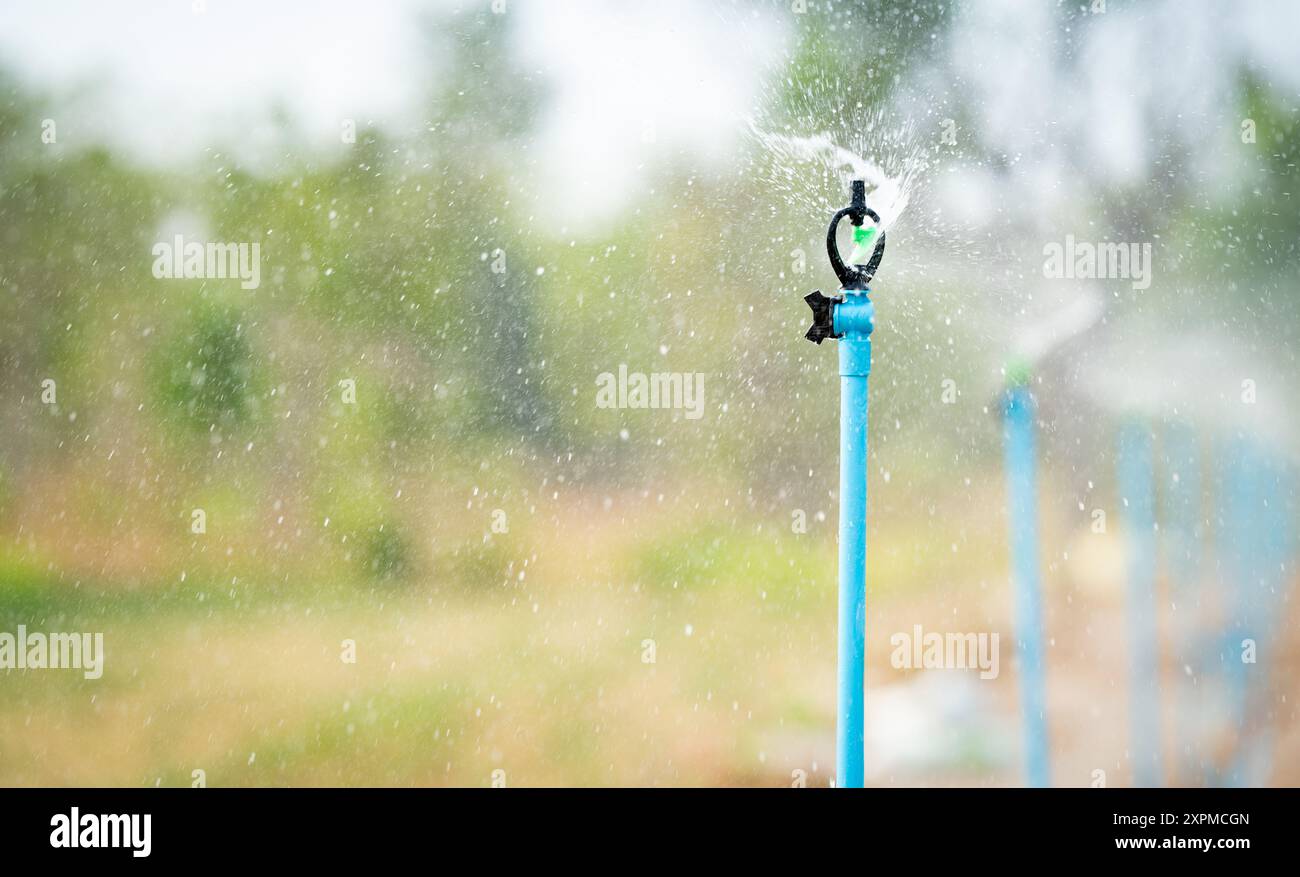 Automatic sprinkler watering green plant garden. Sustainable ...