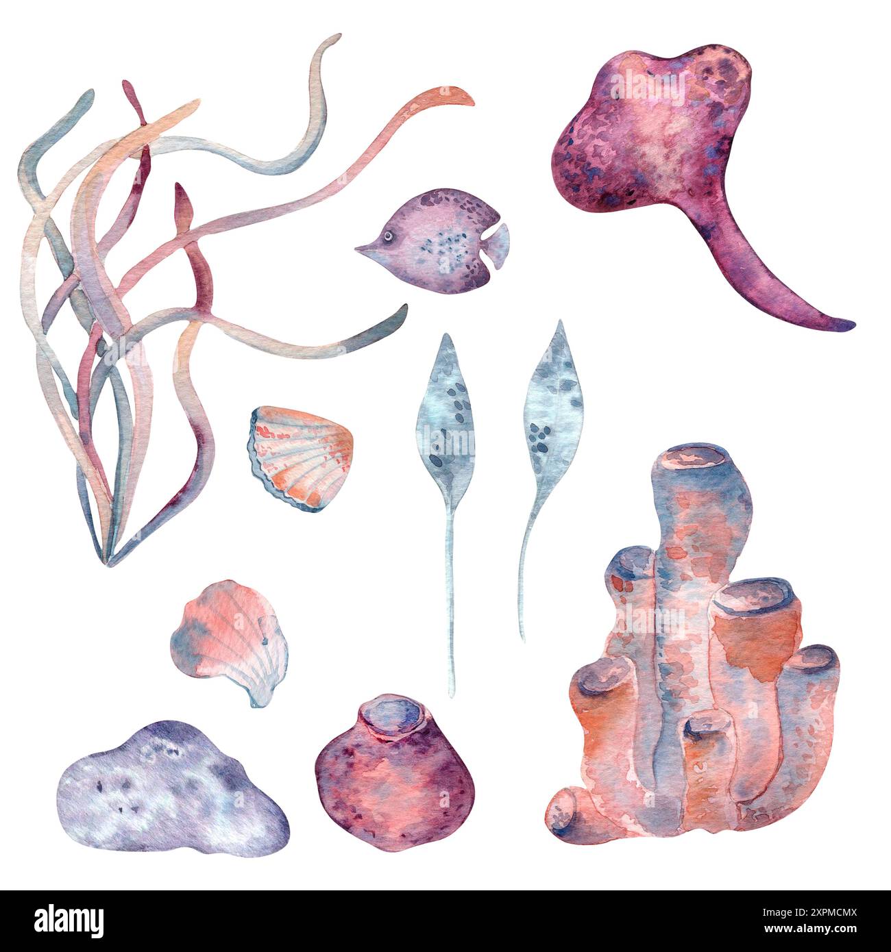 Underwater sea set with plants and creatures in watercolor. Sea shell ...