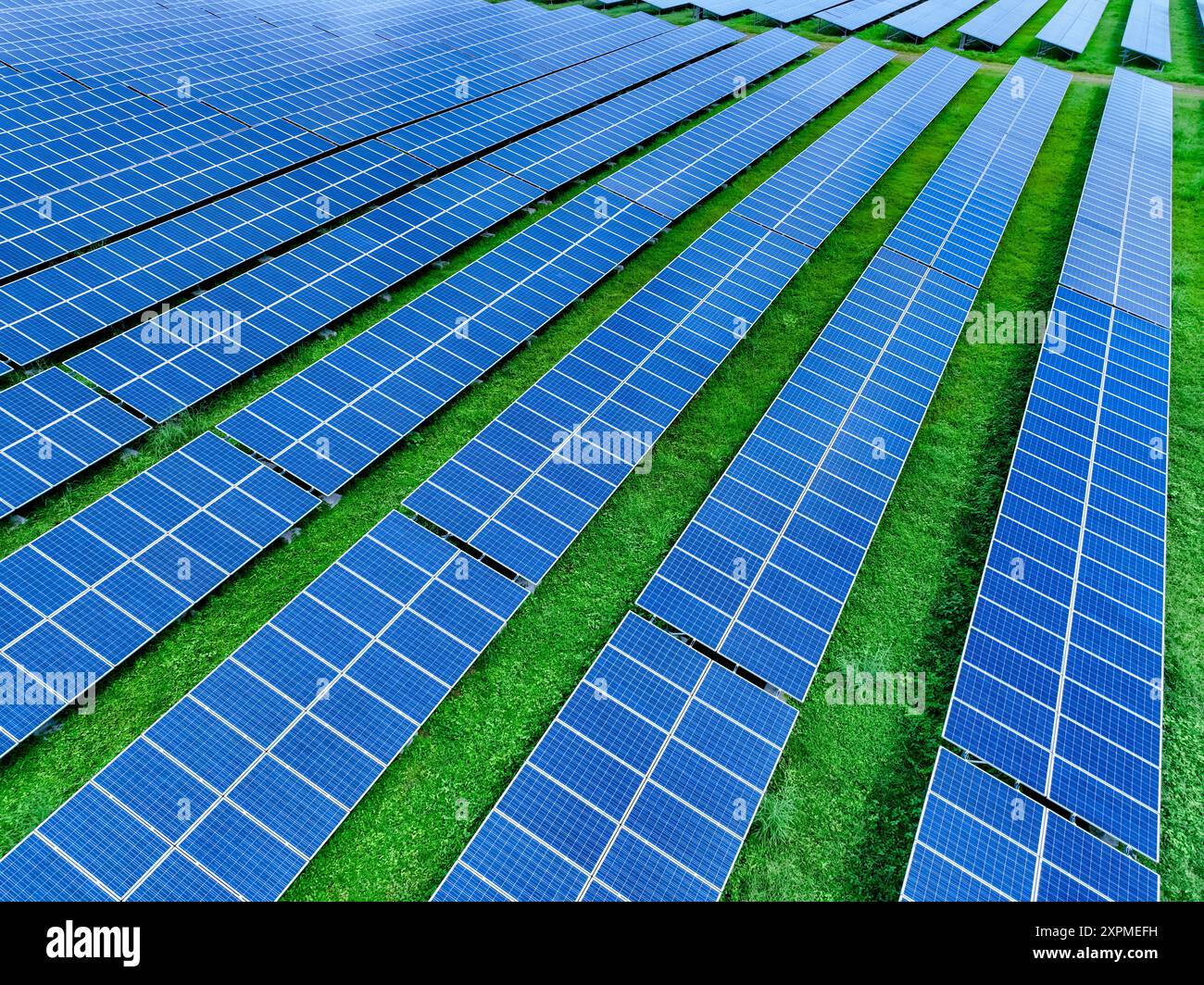 Aerial view of solar farm. Sustainable renewable energy and modern ...