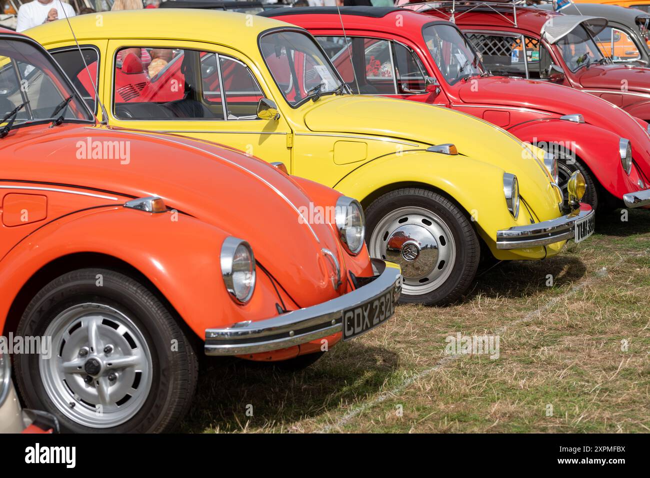 Row of Volkswagen Beetles at a VW Dub festival in Portsmouth. August ...