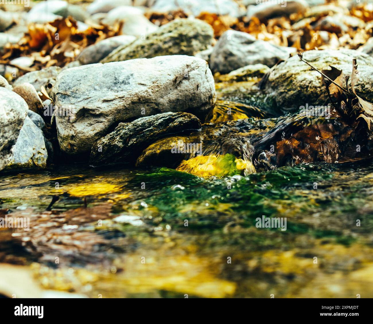 Waterstream hi-res stock photography and images - Alamy