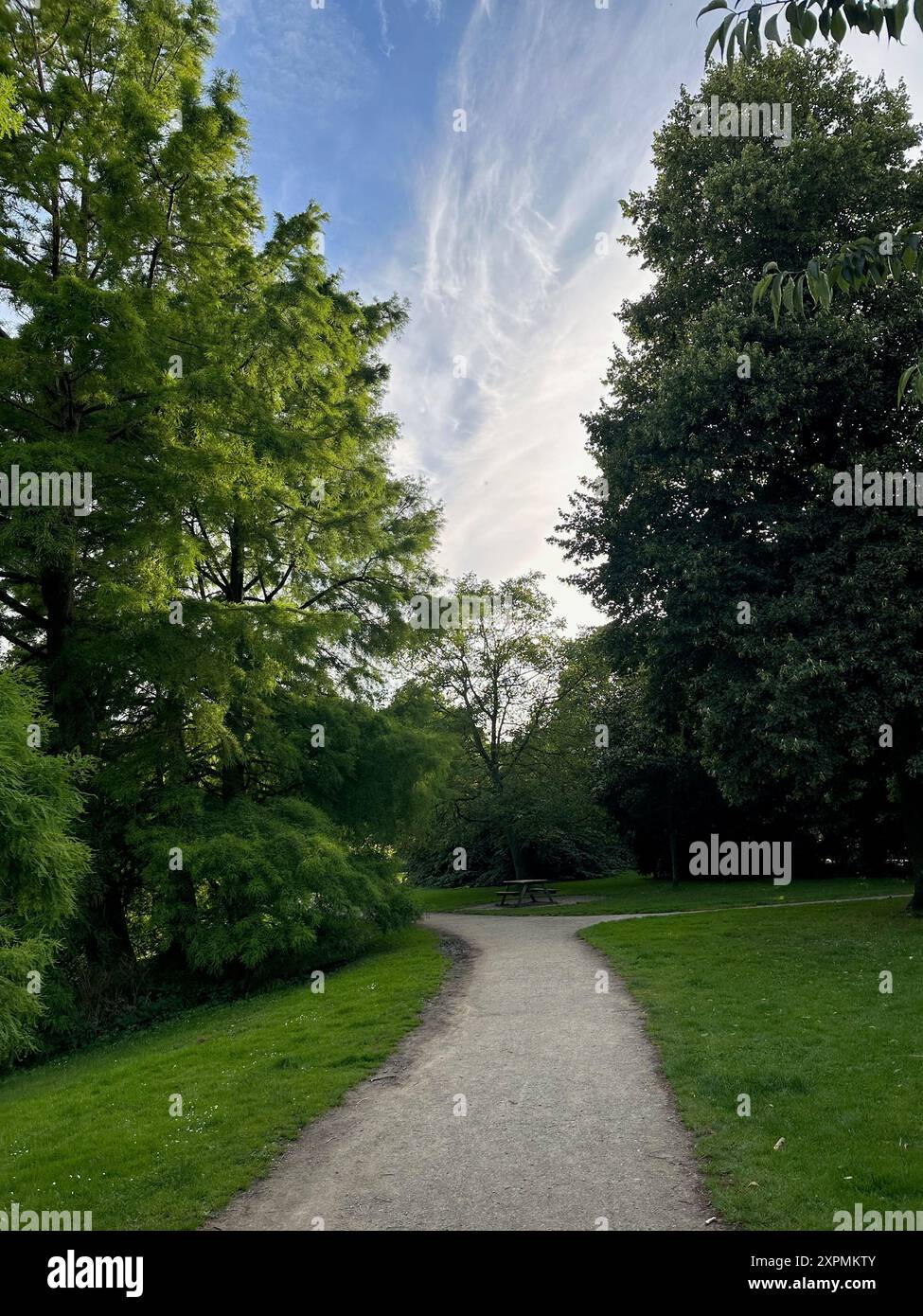 Beautiful view of park with pathway and trees outdoors Stock Photo - Alamy