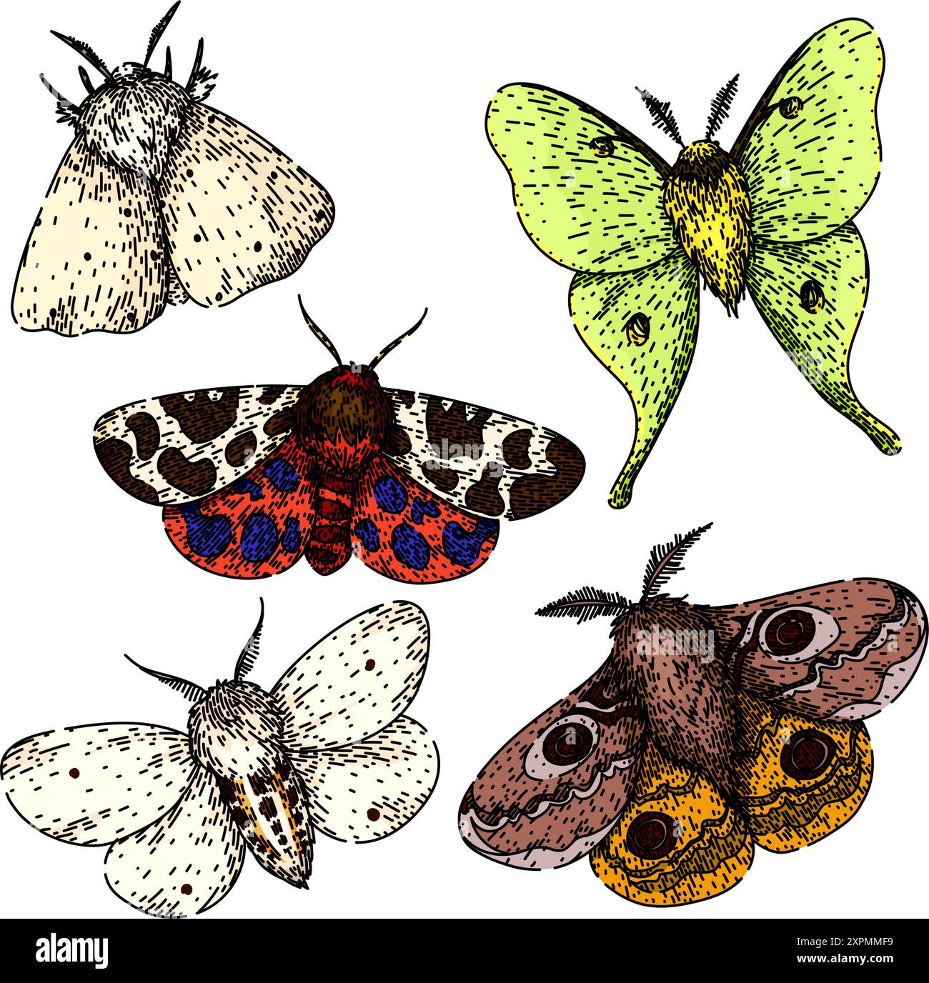 Biodiversity defense Stock Vector Images - Alamy