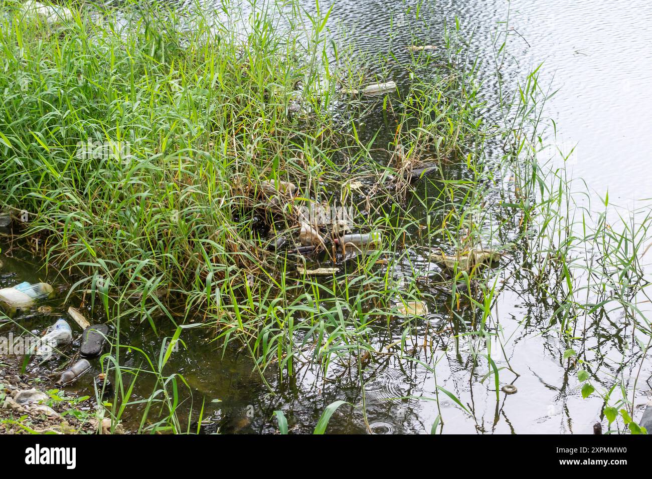 Plastic pollution in water pond environment Stock Photo - Alamy