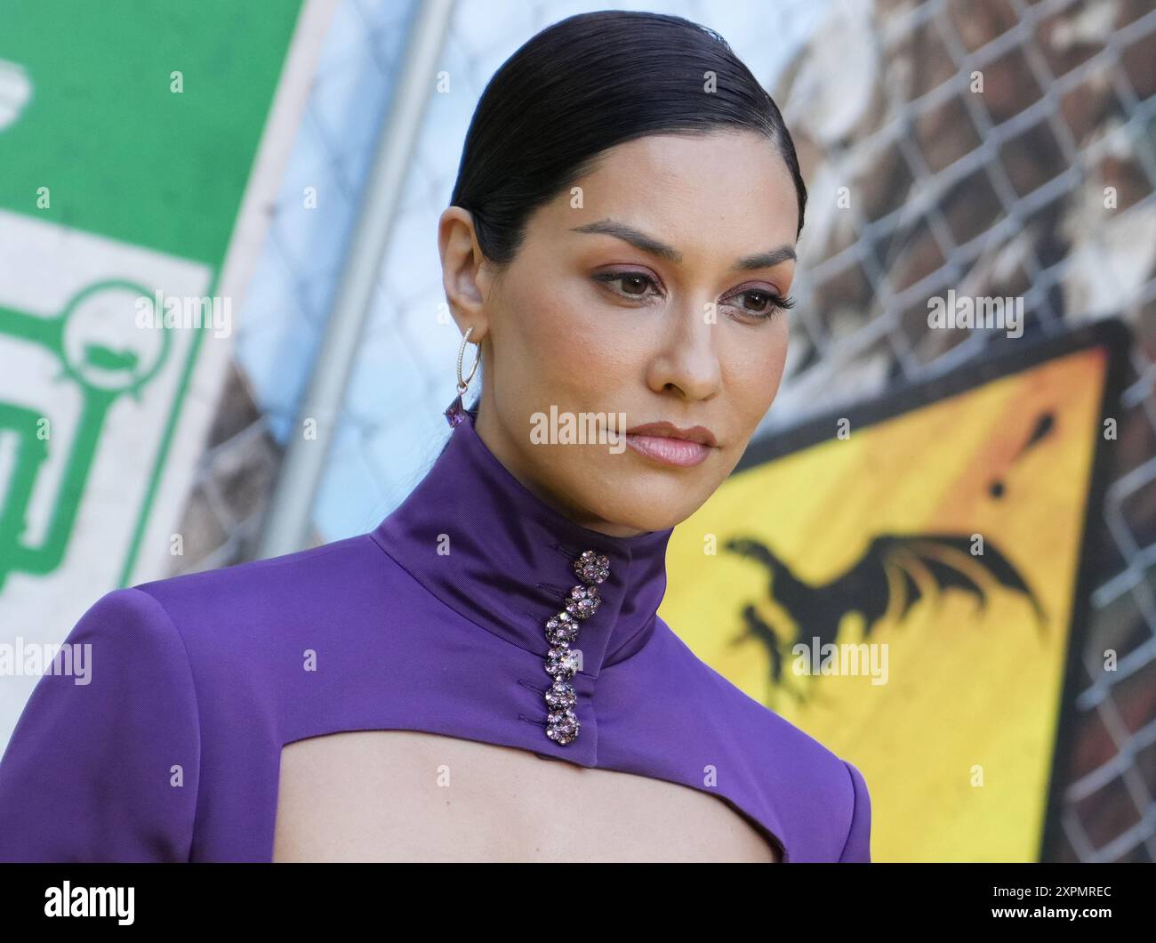 Los Angeles, USA. 06th Aug, 2024. Janina Gavankar arrives at the BORDERLANDS Special Los Angeles ...