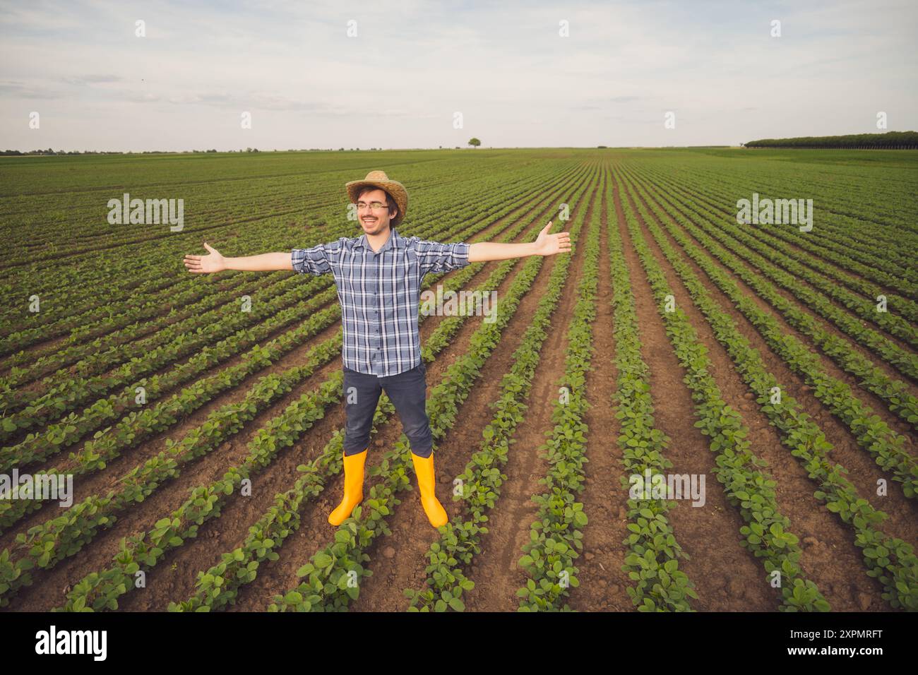Image of happy farmer who is cultivating soybean Stock Photo - Alamy