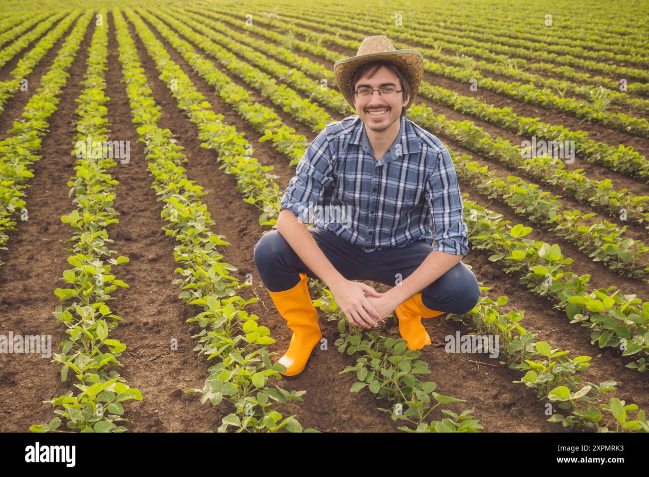 Portrait of happy farmer who is cultivating soybean Stock Photo - Alamy