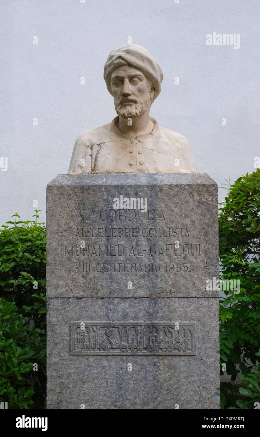 Al gafequi hi-res stock photography and images - Alamy