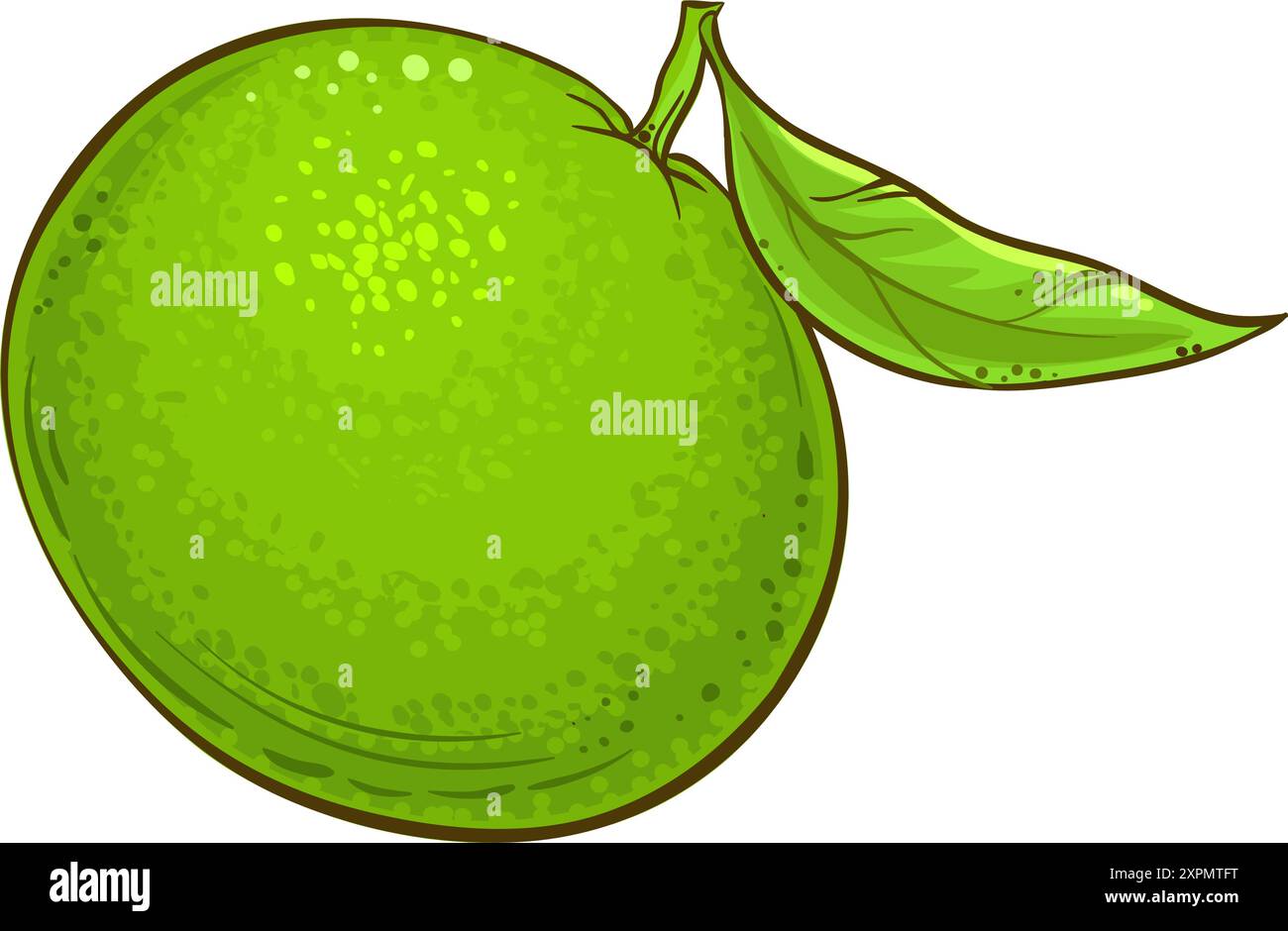 Tangerine foliage Stock Vector Images - Alamy