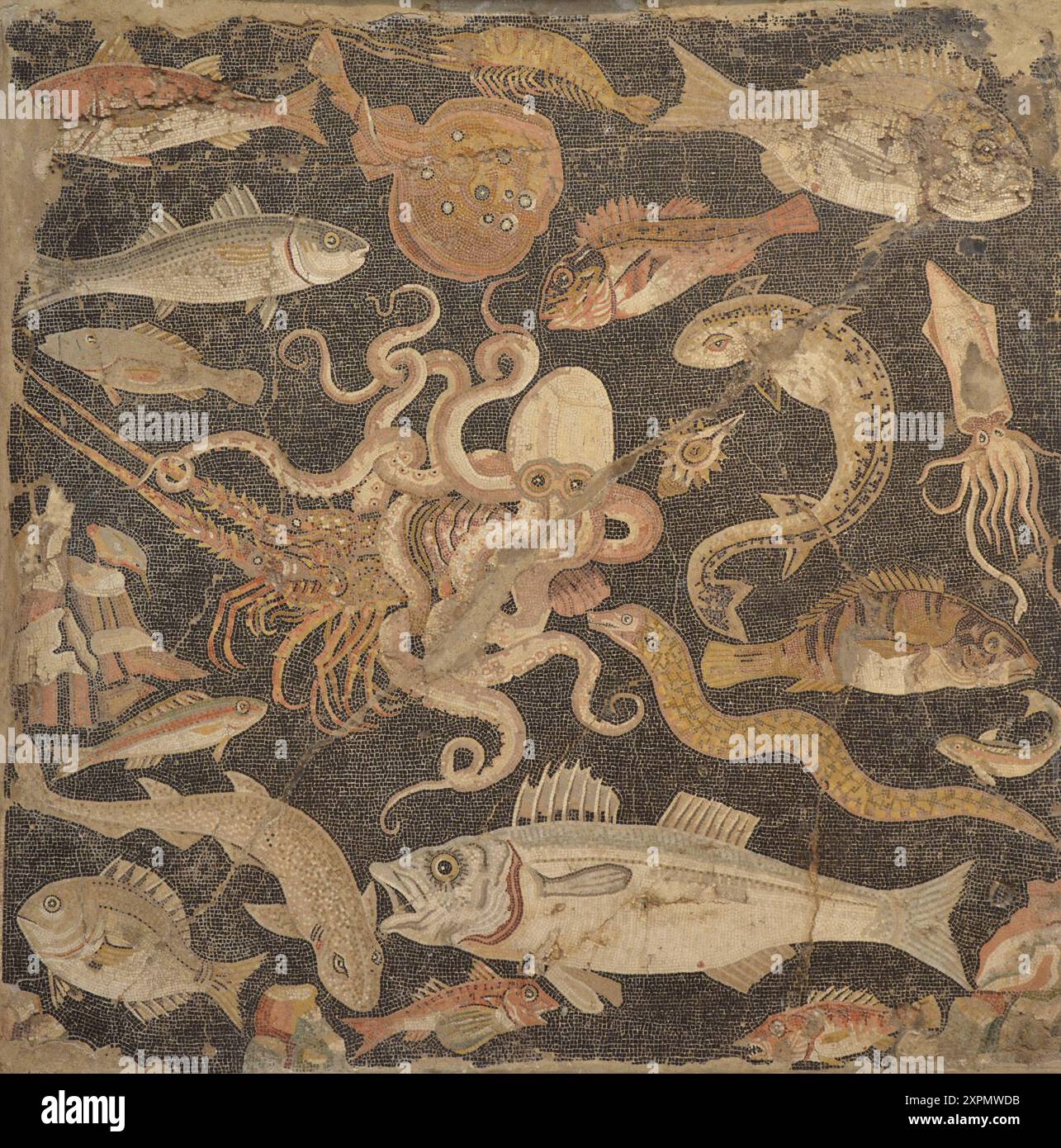 Mosaic of marine life, Pompeii. - The Catalog of fish on a black ...