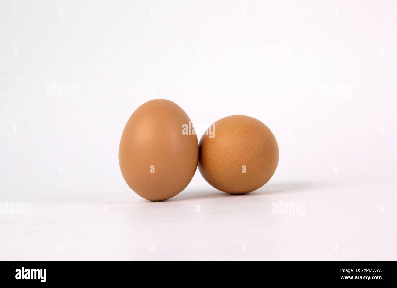 Two eggs isolated on white background Stock Photo - Alamy