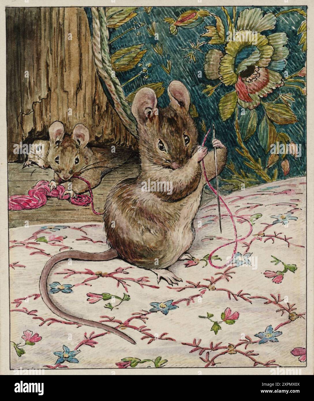 Illustration for the book The Tailor of Gloucester Helen Beatrix Potter ...