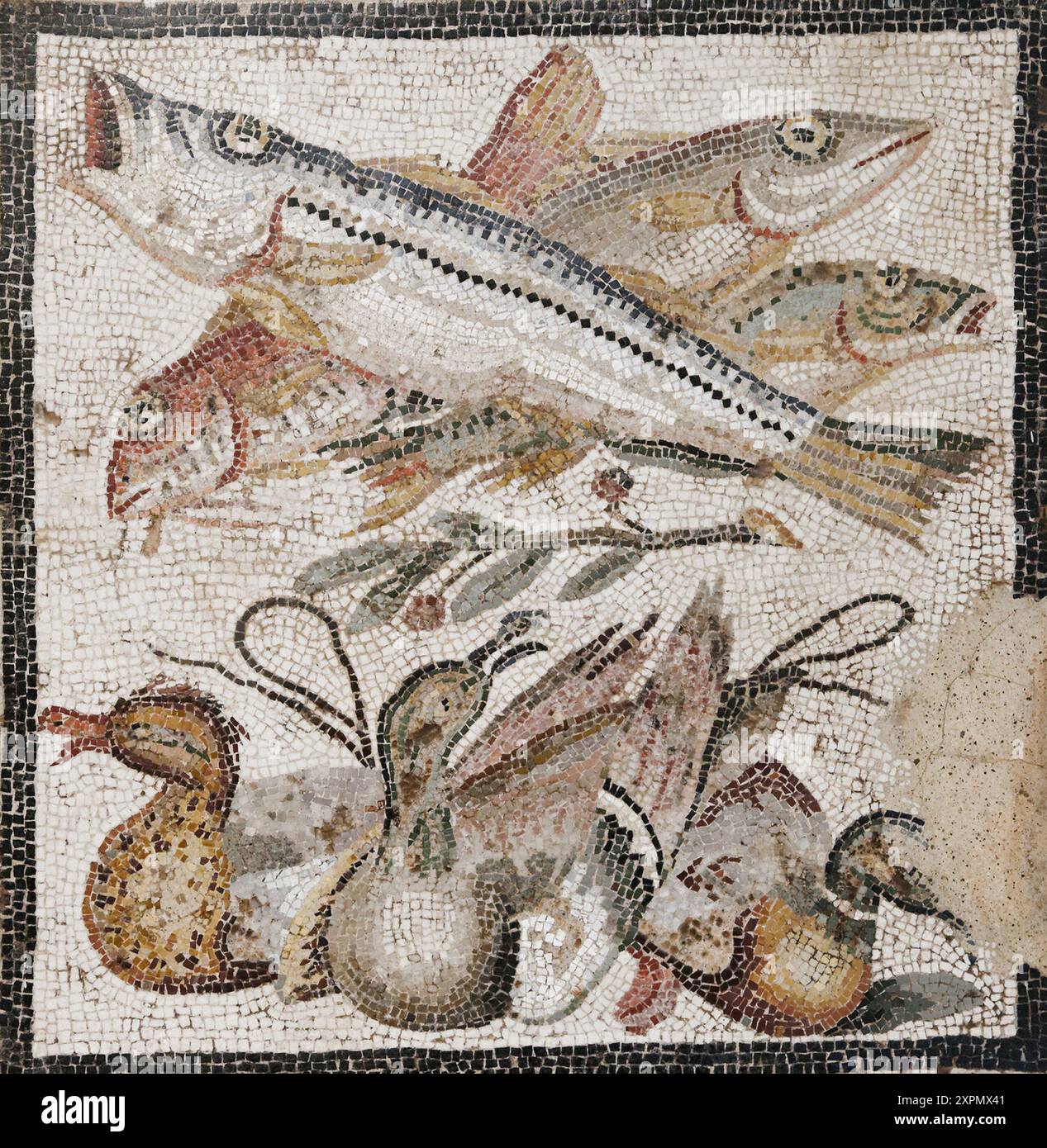 Roman mosaic - From the House of the Grand Duke of Tuscany (IX, 2, 27 ...