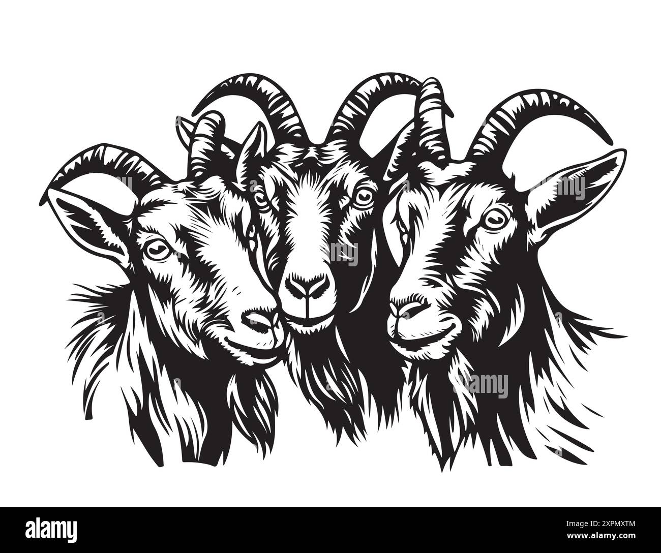 Antique animal heads Black and White Stock Photos & Images - Alamy