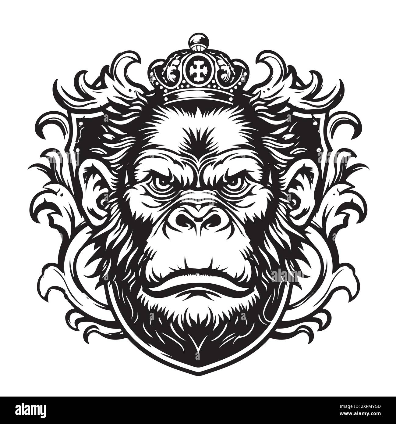 Monkey evolution Cut Out Stock Images & Pictures - Alamy