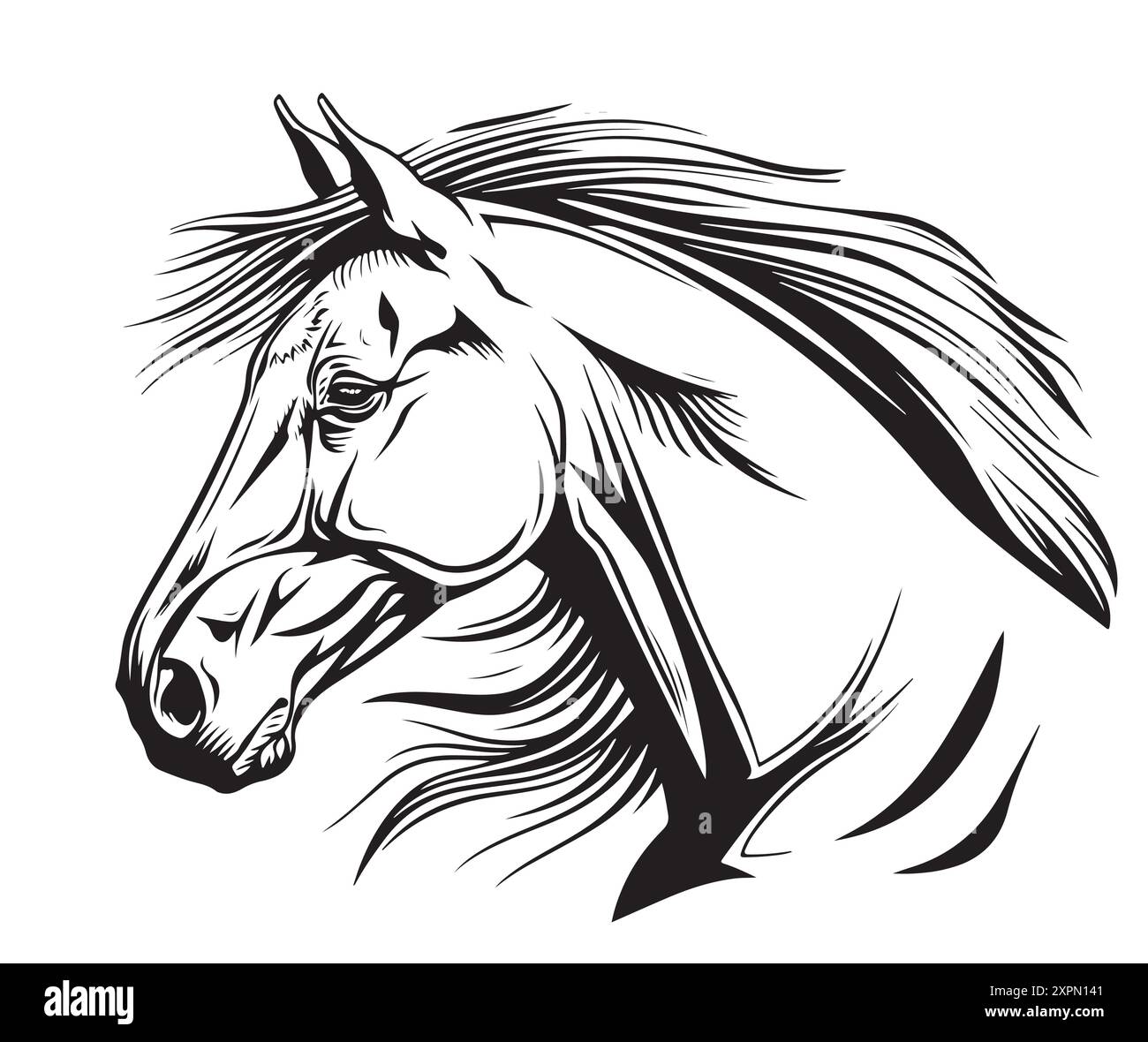 Hand drawing horse head Vector illustration Stock Vector Image & Art ...