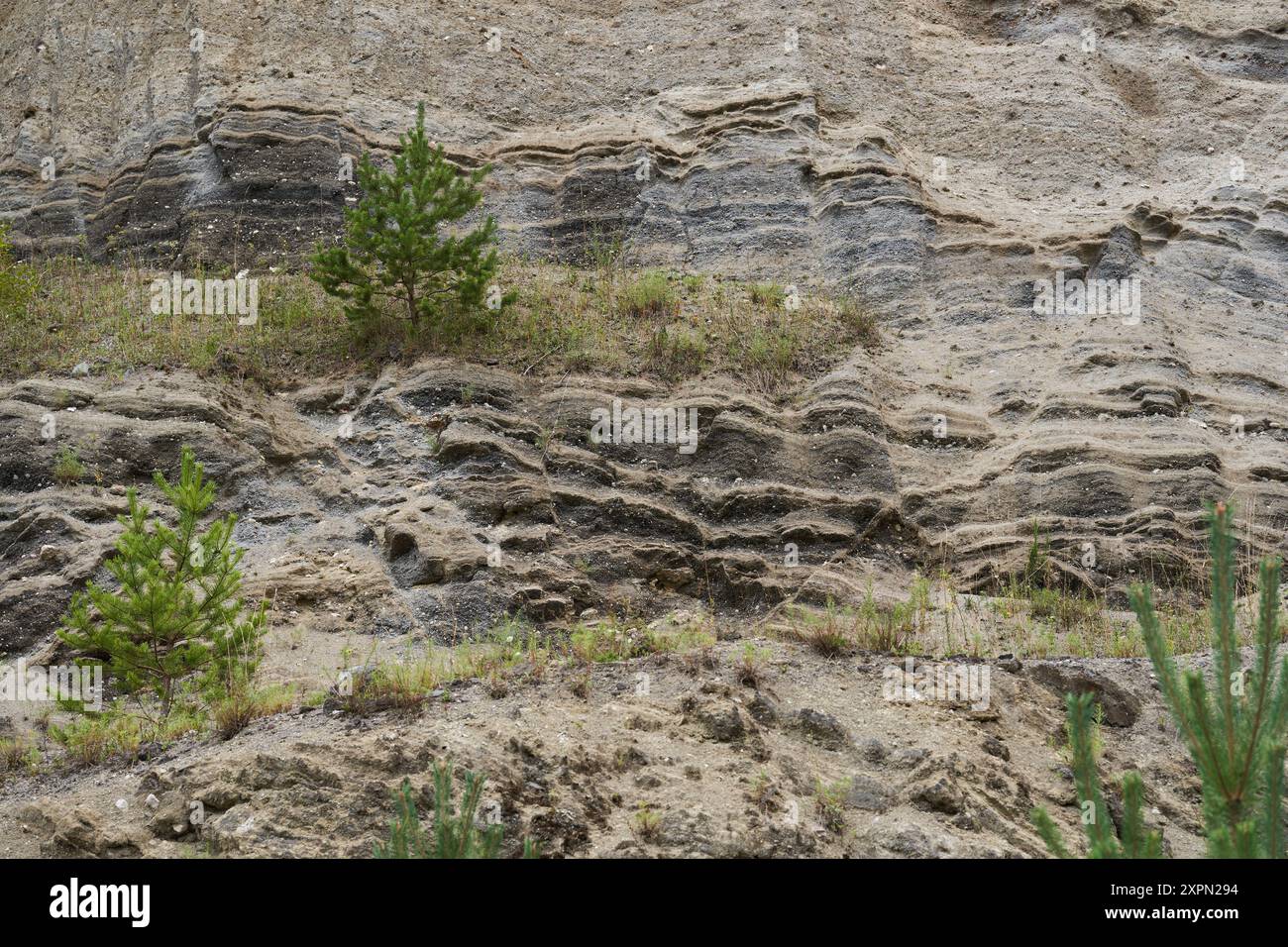 Various rock formations of basalt, sandstone, dross and others in ...